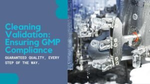 Qualification Vs Validation: Understand The Key Differences