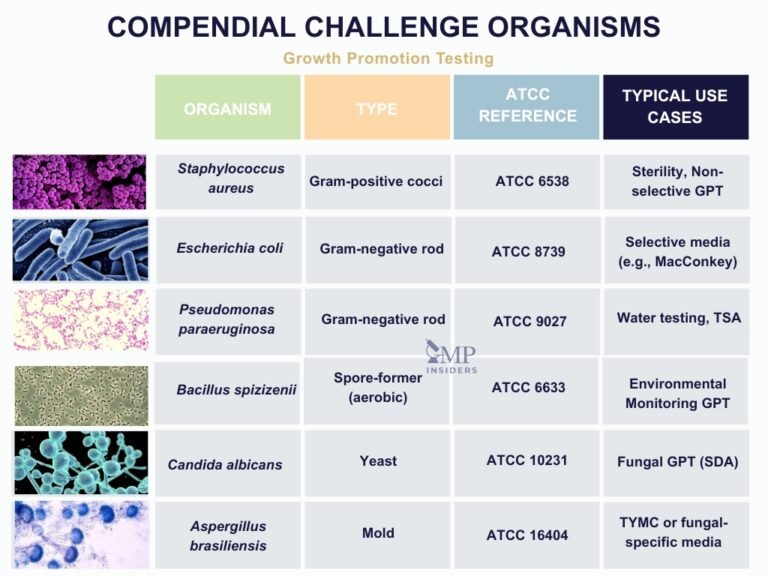 Growth Promotion Testing (GPT) In Pharmaceutical Microbiology | GMP ...