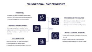 GMP Vs CGMP: What Is The Difference? | GMP Insiders