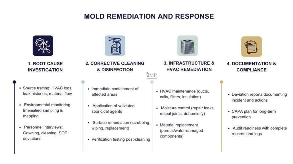 Mold Contamination In Cleanrooms: An Invisible But Critical Threat ...